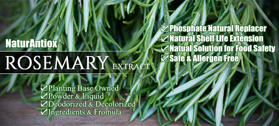 Rosemary Extract Rosemary Oleoresin Extract,China NaturAntiox price ...