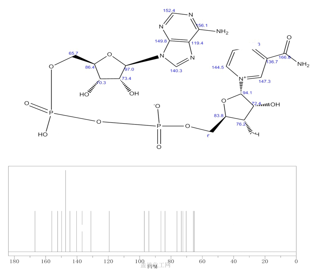 α-Nicotinamide adenine dinucleotide 7298-93-3 wiki